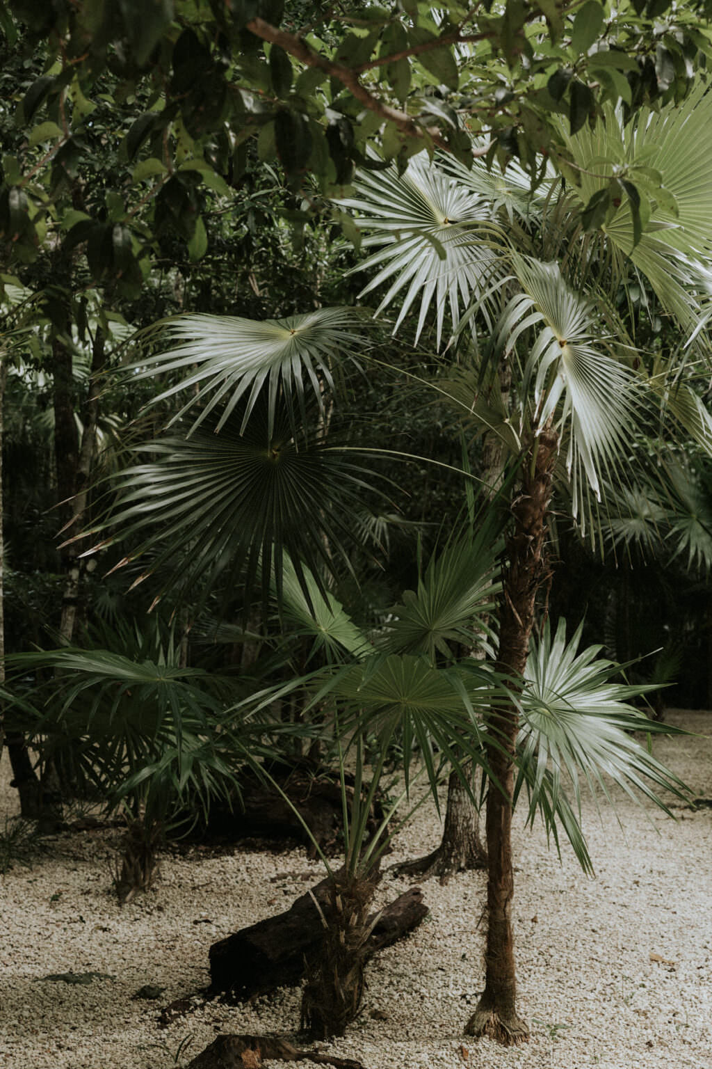Chic Jungle wedding at Kima Tulum - Bernadeta Kupiec Photography