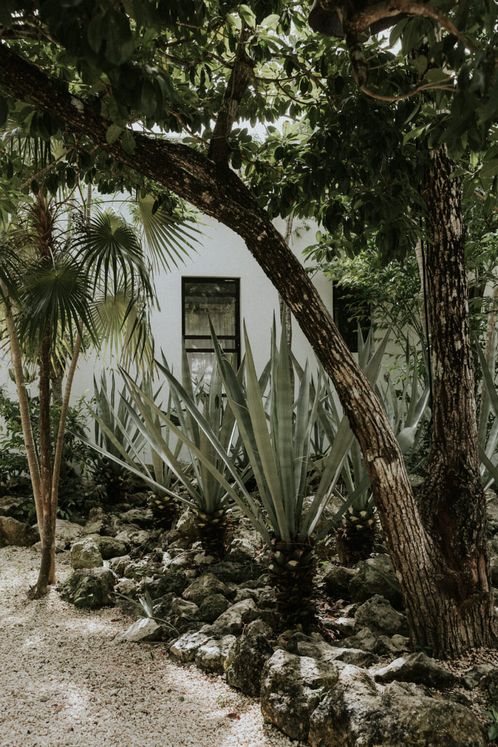 Chic Jungle wedding at Kima Tulum - Bernadeta Kupiec Photography